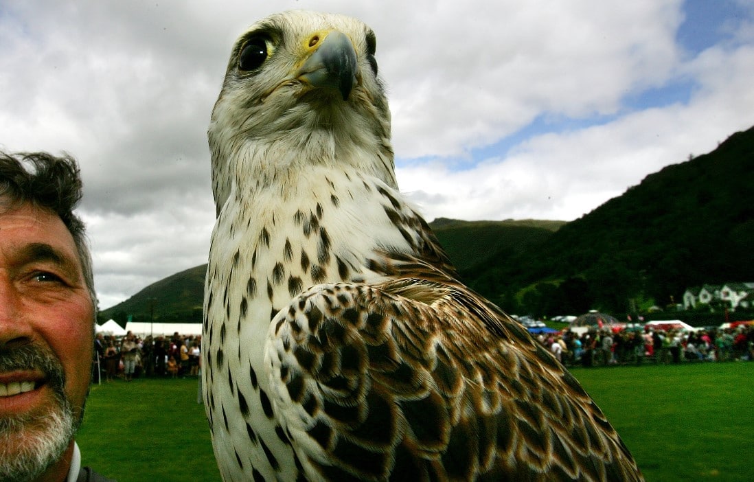 The risk the administrative state poses to bird owners