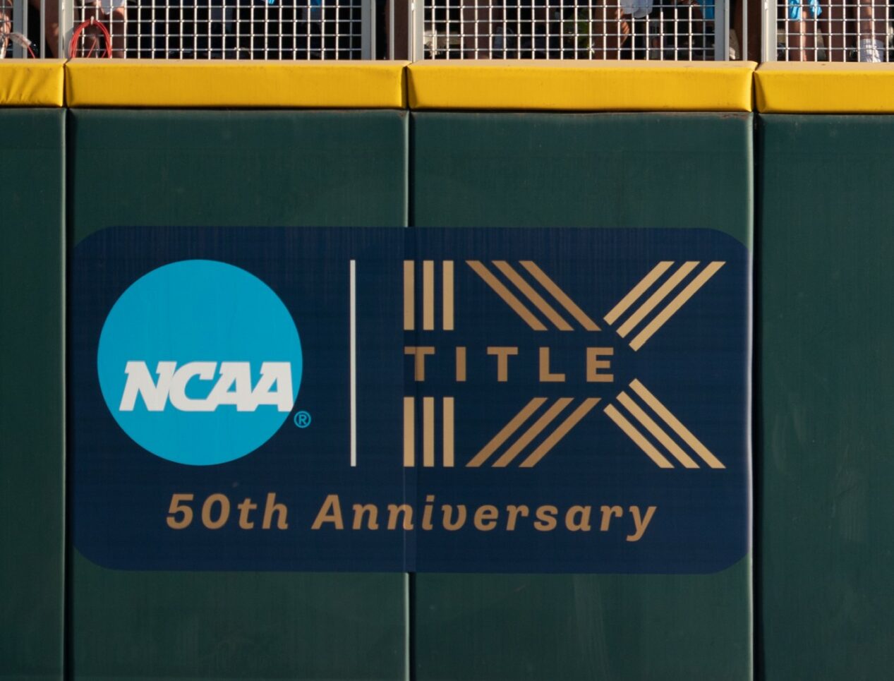 What is Title IX?