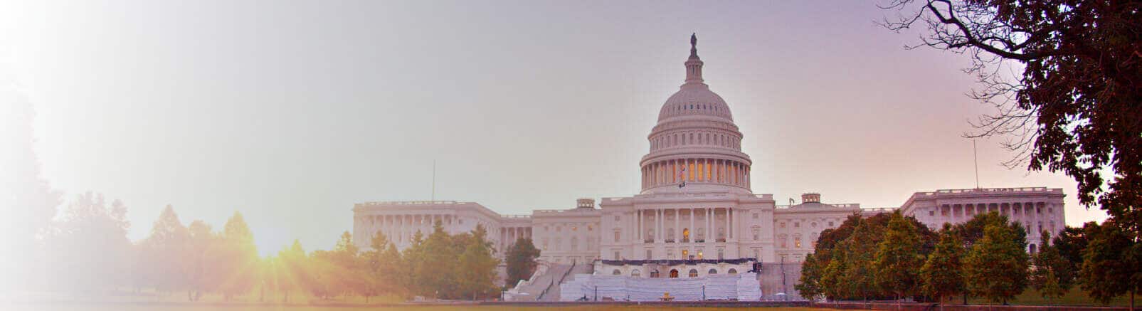 The Congressional Review Act