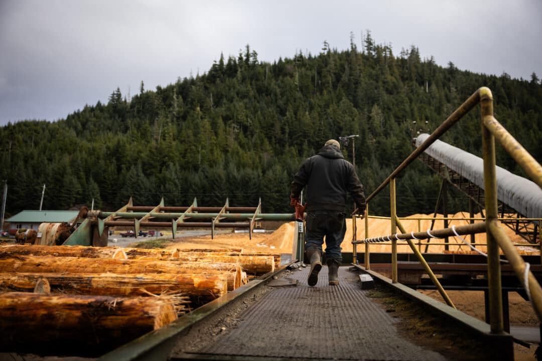 Alaska timbermen sue to stop the U.S. Forest Service from unilaterally ...
