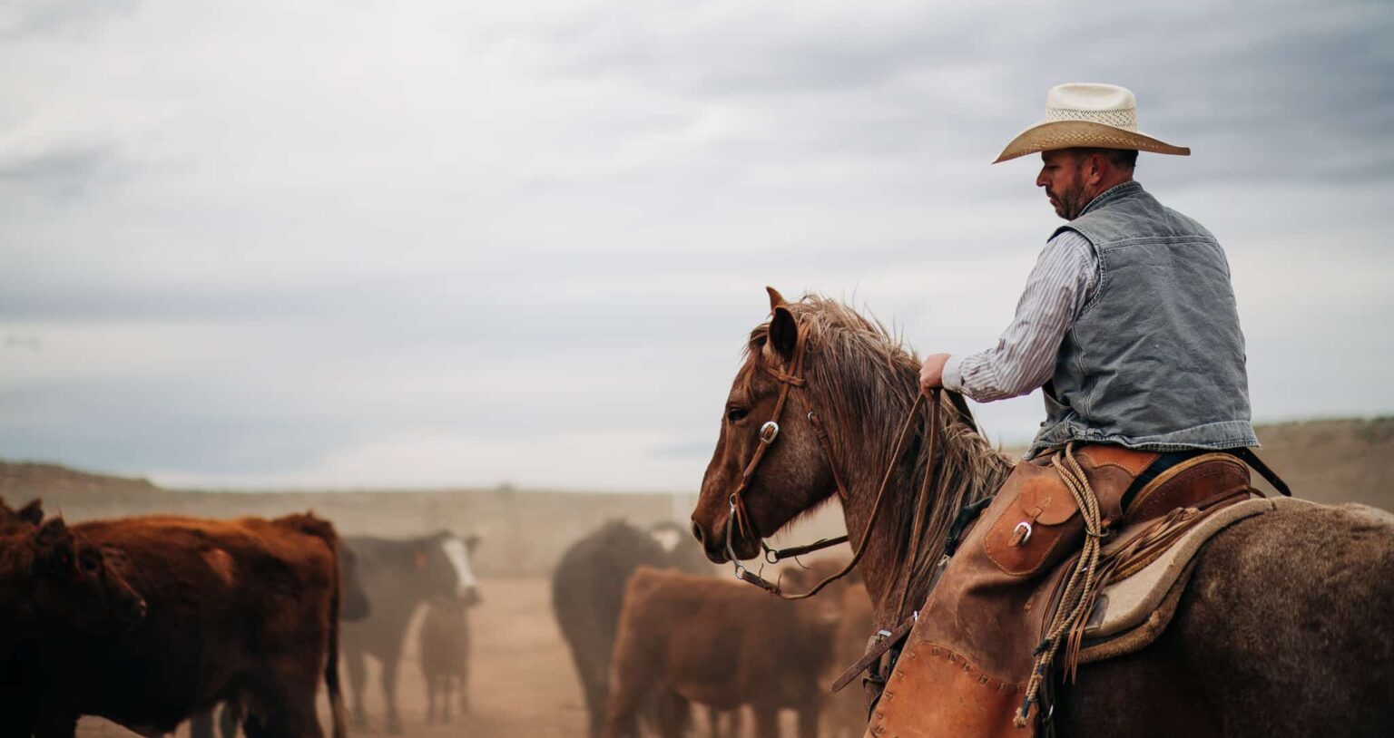 Pacific Legal Foundation launches Environment and Natural Resources ...